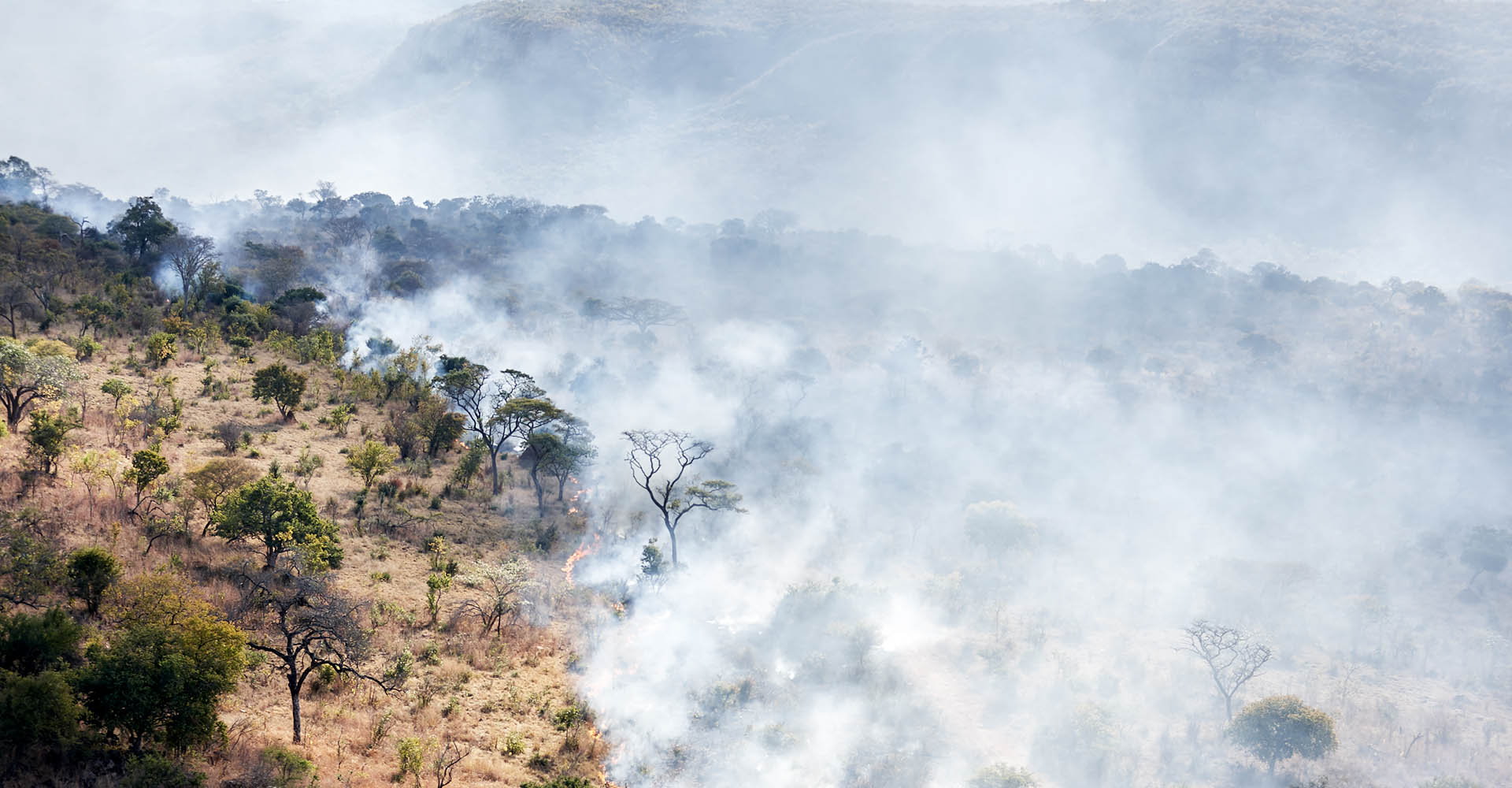 The story behind 'Africa, the Fire Continent' • Kishugu